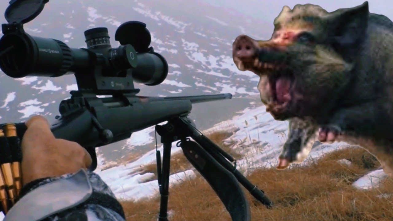 Wild Boar Hunting 2025 with Top-Class Accurate Shots | Hunt - YouTube