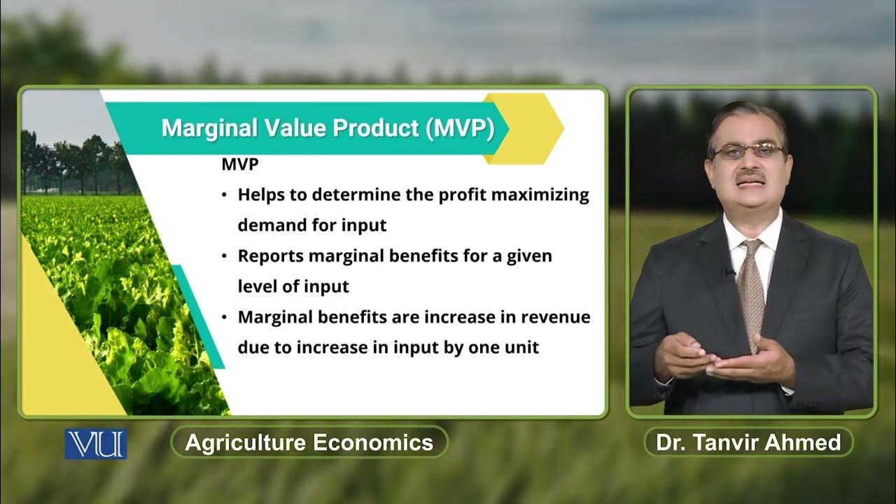 Marginal Value Product (MVP) | Agricultural Economics | ECO608_Topic071 - YouTube