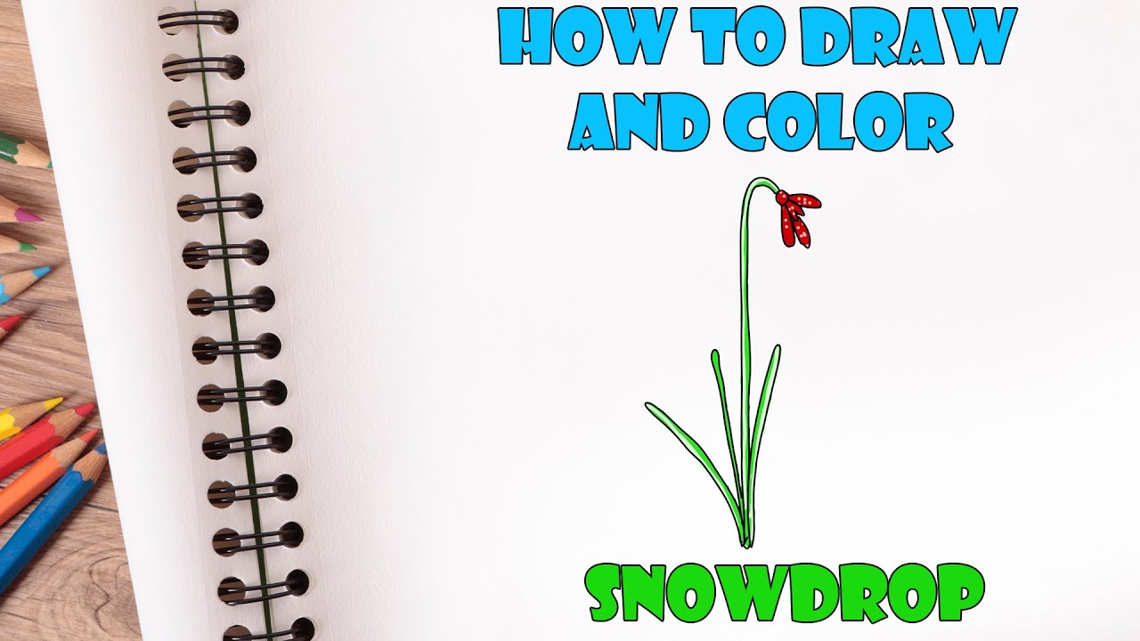 How To Draw And Color Snowdrop Step By Step Guide | Easy Drawing - YouTube