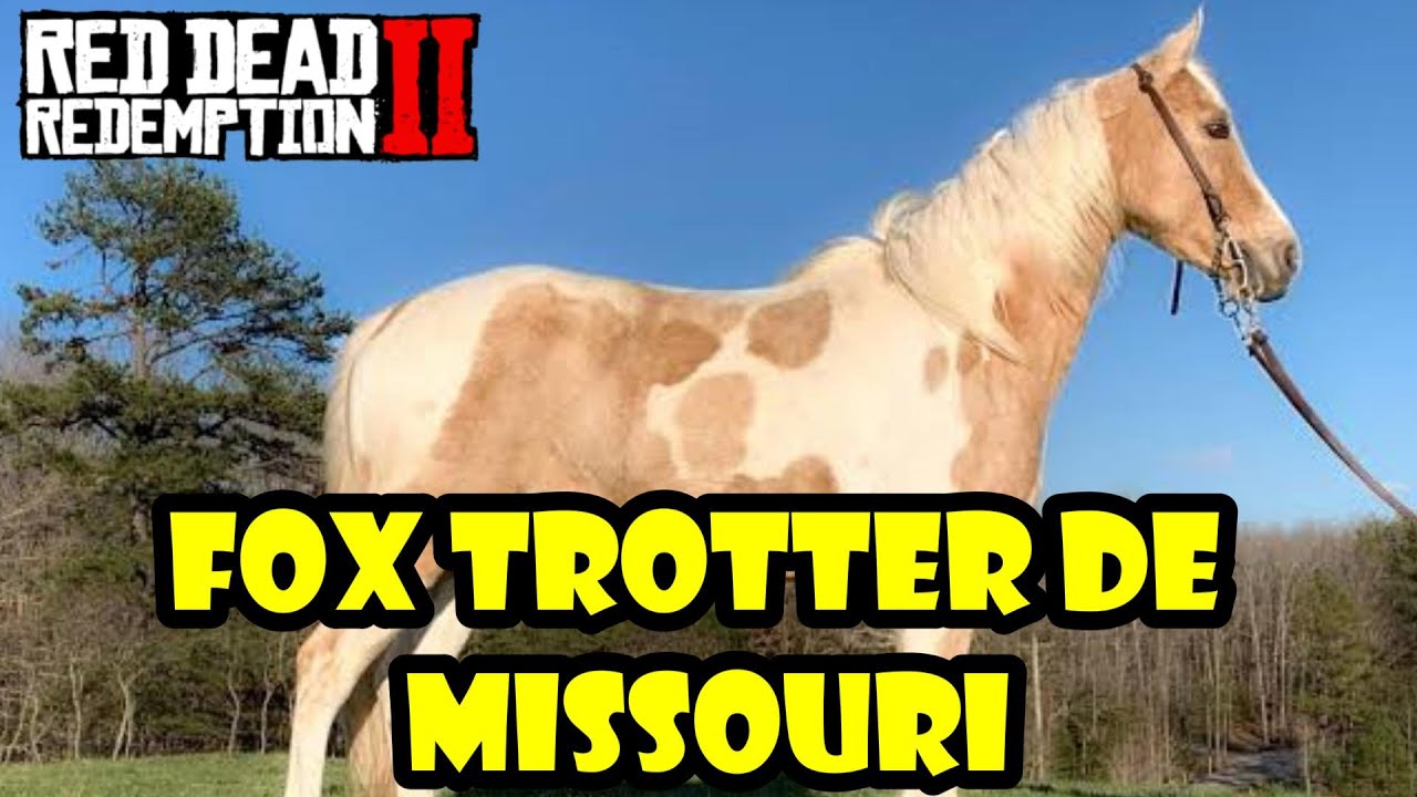 Como conseguir el caballo FOX TROTTER de MISSOURI en Red Dead ...