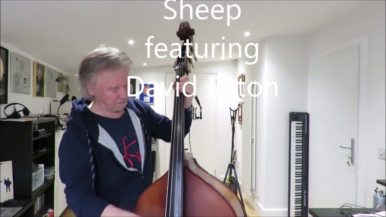 Isolated. Sheep, feat David Paton, pilot-magic.com - YouTube