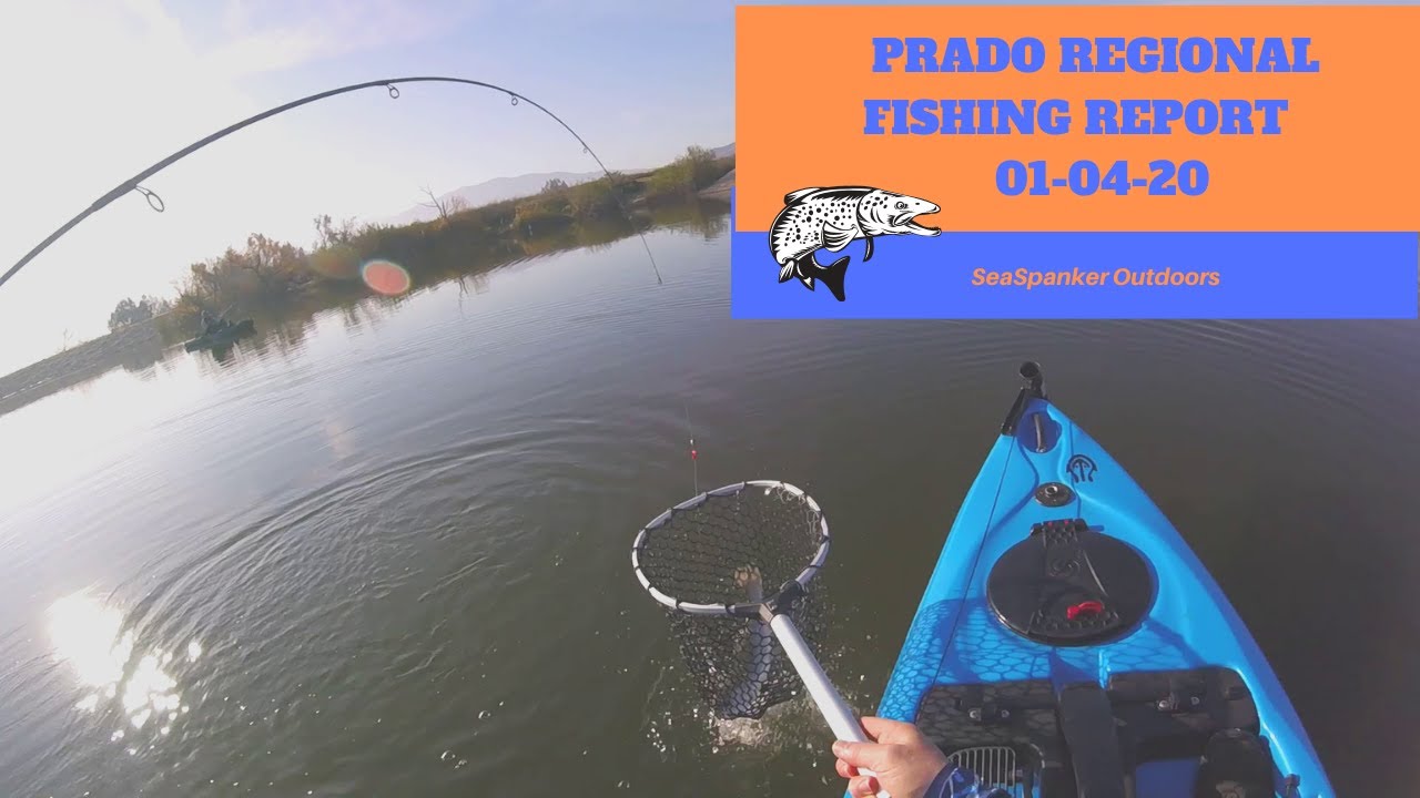 Prado Regional Park Fishing Report 01-04-20 - YouTube