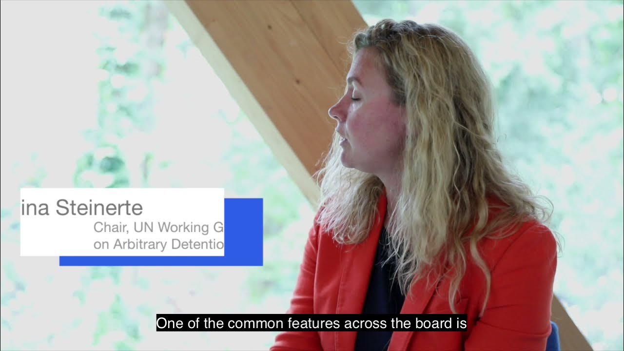 #MéndezPrinciples: UN Working Group on Arbitrary Detention - YouTube