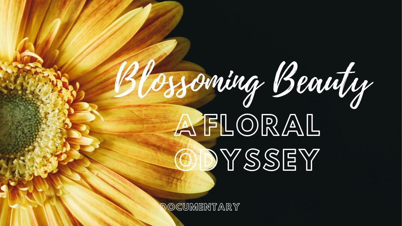 Blossoming Beauty: A Floral Odyssey | Short Documentary | BitsImages ...