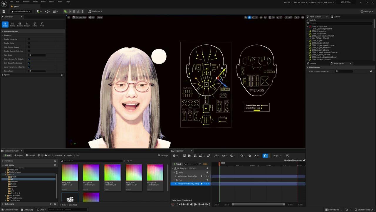To use Face Control Rig Board with UE5 - YouTube