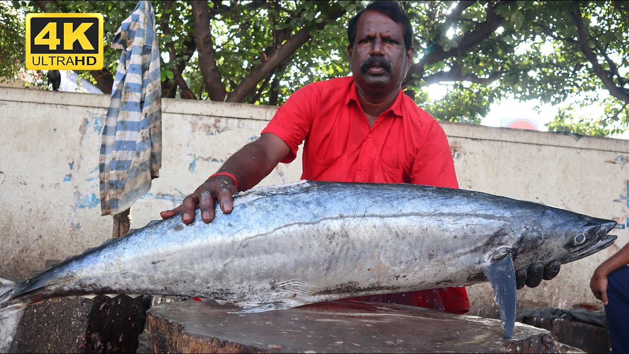 KASIMEDU Mr VADIVELU BIG SIZE SEER FISH/VANJARAM FISH CUTTING | BIG ...