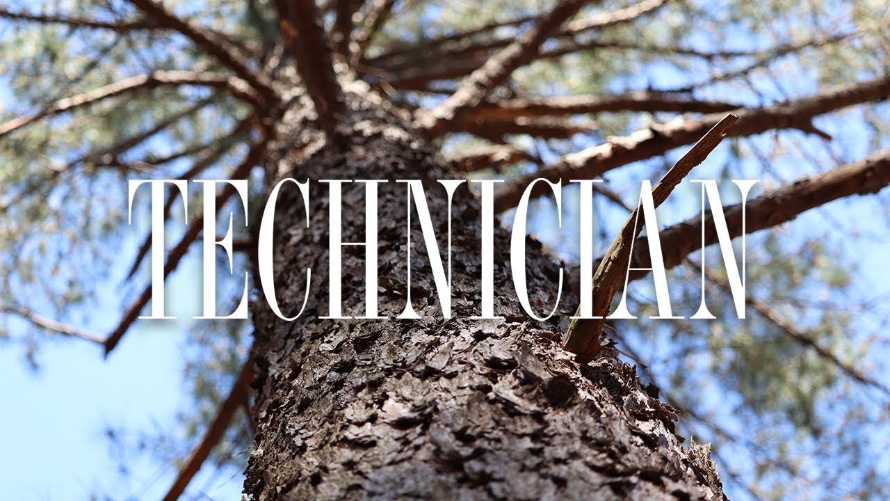 Inside the Carl Alwin Schenck Memorial Forest - YouTube