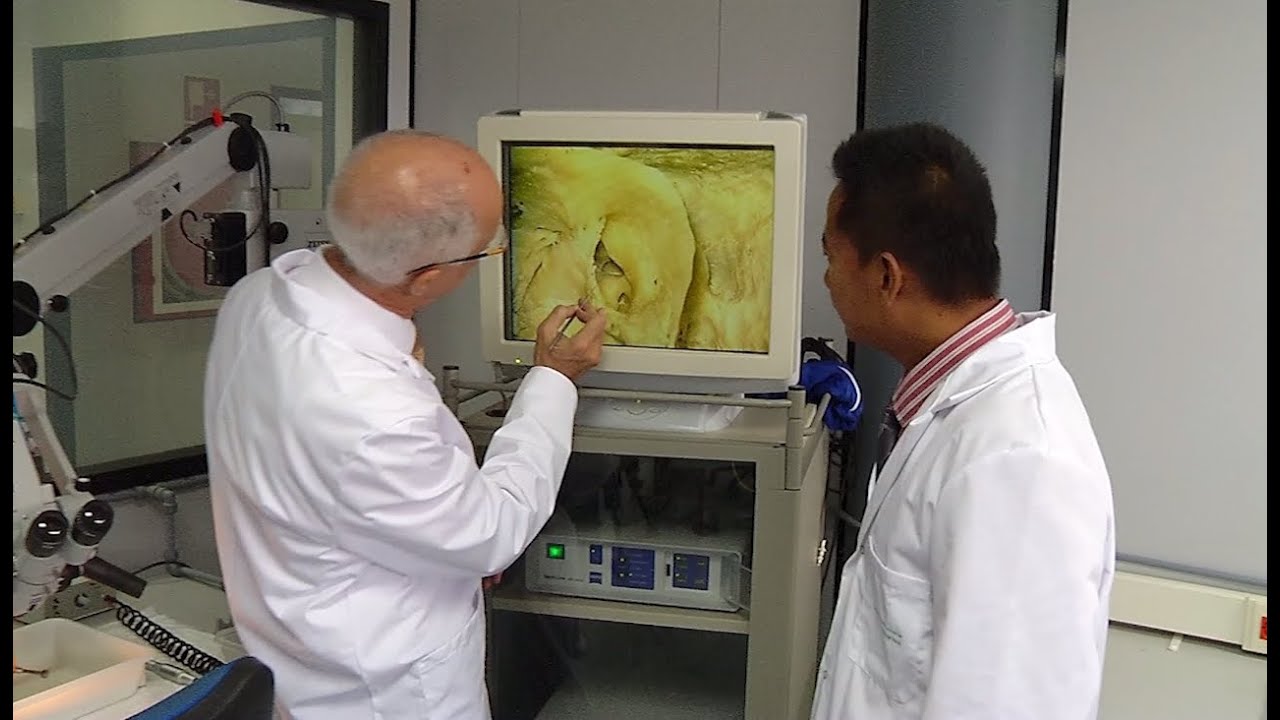 AS A microchip that replaces the function of the middle ear will make ...