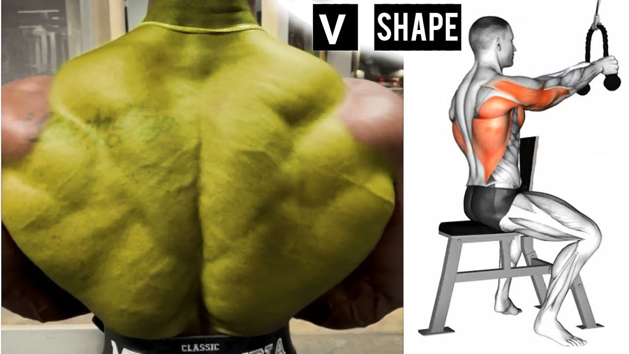 Top 8 Move to Grow V Shape Back Faster ( gym workout ) - YouTube
