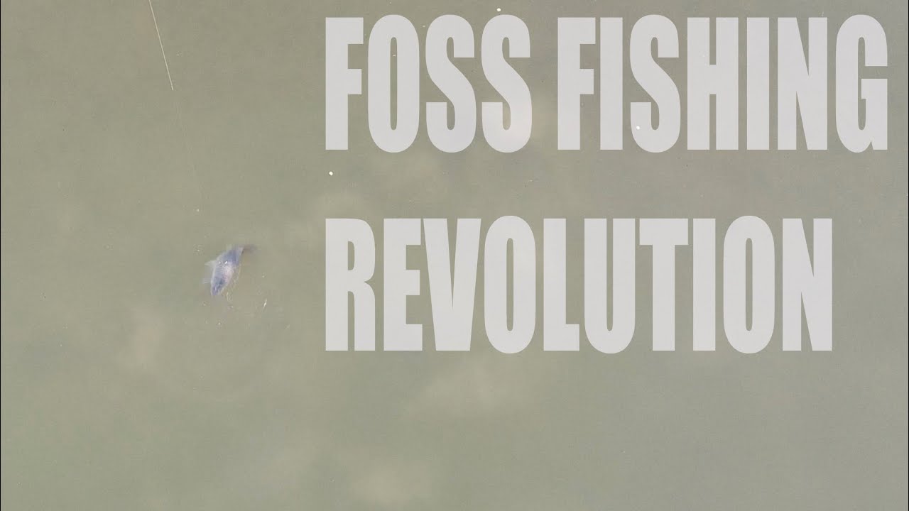 FOSS FISHING 2020 REVOLUTION! IL FOSS FISHING COME NON LO AVEVI ANCORA ...