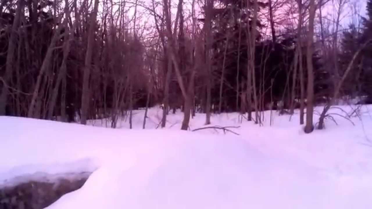 TJD Xgen Tracks on a BRP Outlander Max 650 - First test - YouTube