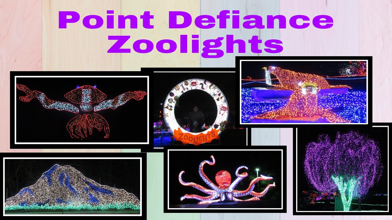 Point Defiance Zoo Christmas Lights Display - YouTube