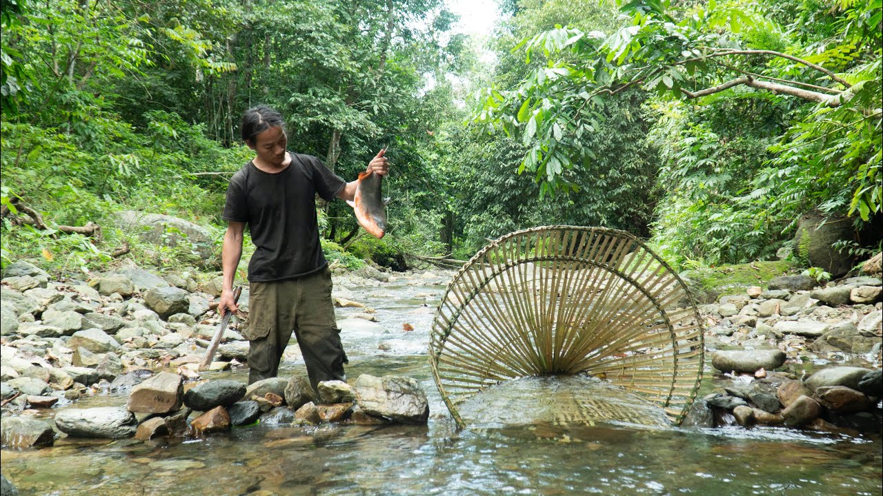 Big Fish Trap in The Forest, Wilderness Alone, ep 116 - YouTube