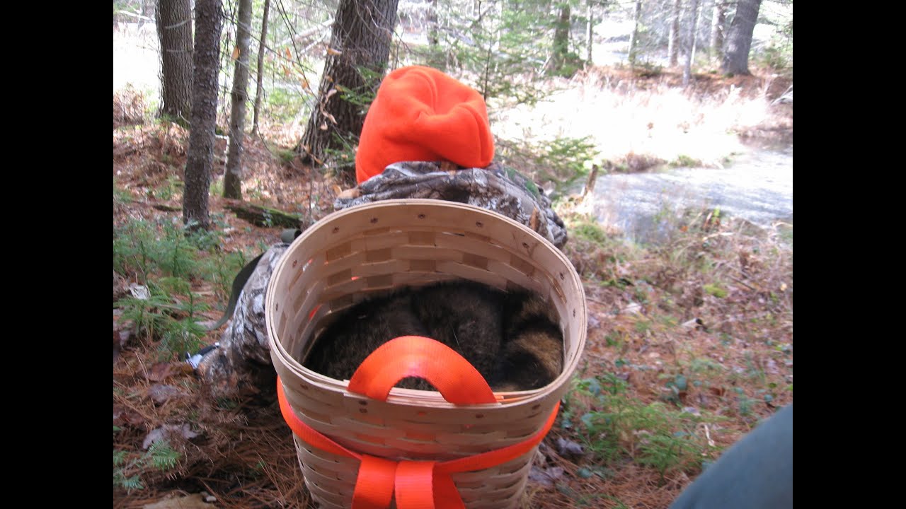 Trapper's Trail & Tales-----Keeping the culture & tradition alive - YouTube