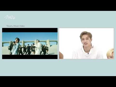 stray kids reaction bts on