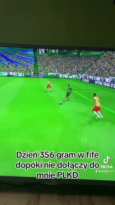 Dzień 356! @PLKD - YouTube