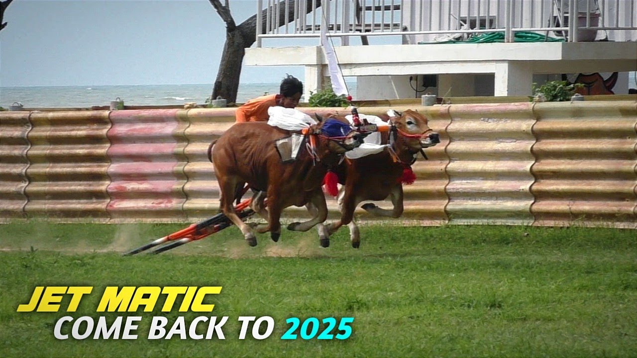 Kembalinya kecepatan sapi Team Jet Matic di latihan hari ini - YouTube