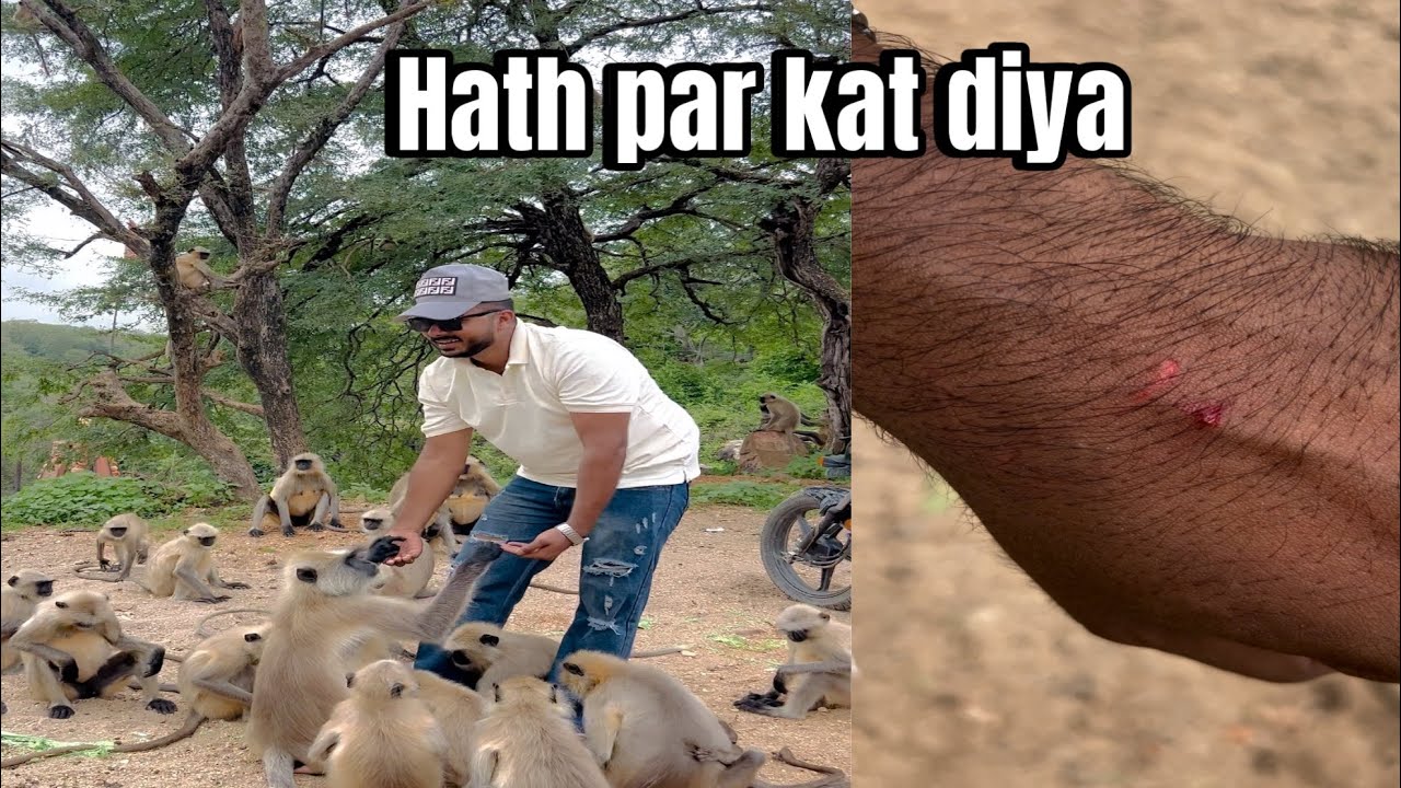 Hath kat liya monkey ne 🙊| halat kharab ho gyi - YouTube