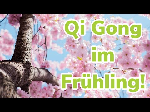 Qi Gong im Frühling: Meine Tipps für das beste Programm (inkl. Leber-Übungen)