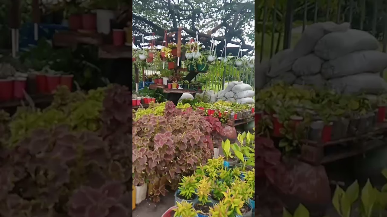 terrace garden finishing idea - YouTube