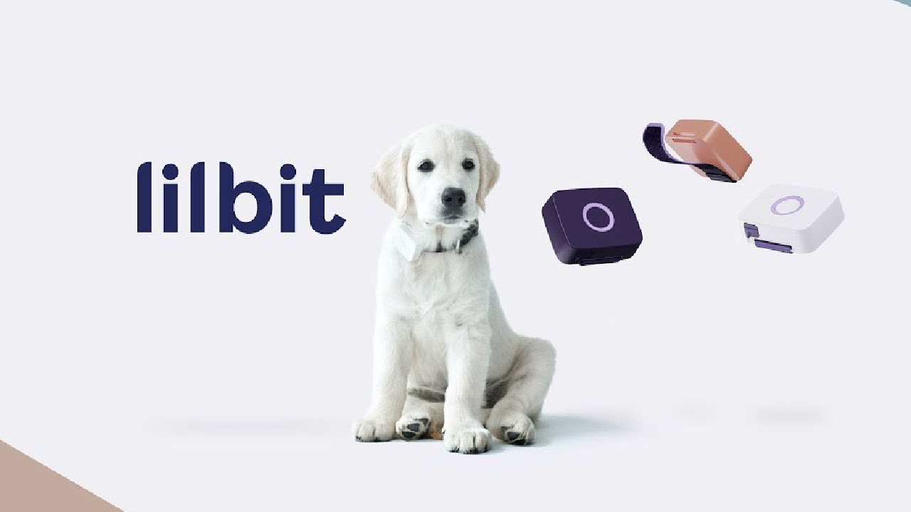 Kampanjevideo for LILBIT AS - YouTube