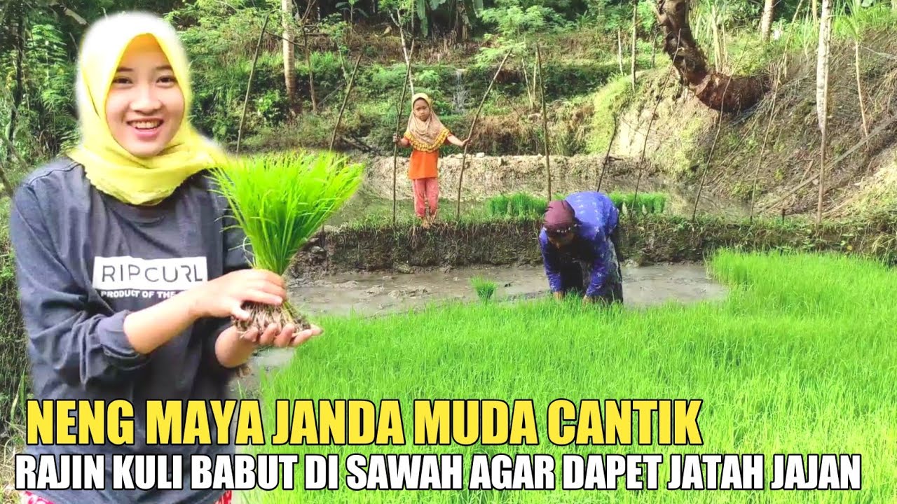 NENG MAYA MOJANG DESA MUDA CANTIK BABUT PADI DISAWAH - INDONESIA MUSLIM ...