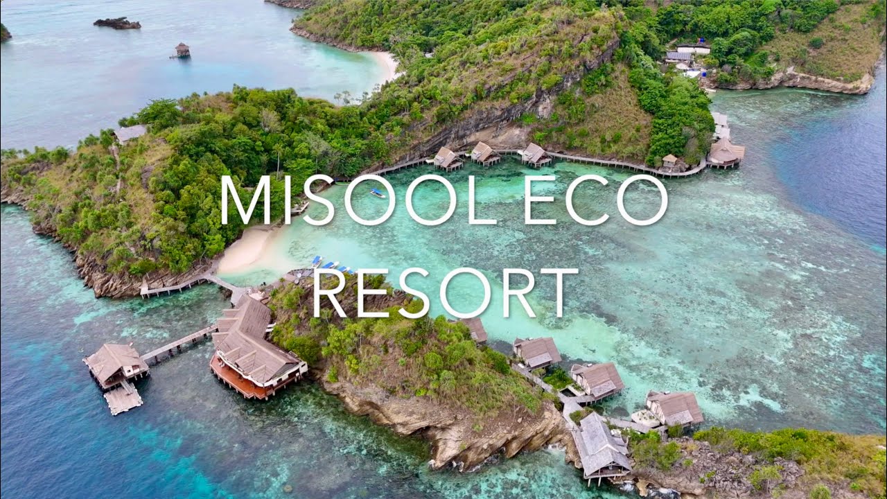 Our experience at Misool Eco Resort, Raja Ampat 2024, Diving ...