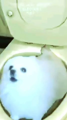 skibidi dog toilet song slowded @Eleotan - YouTube