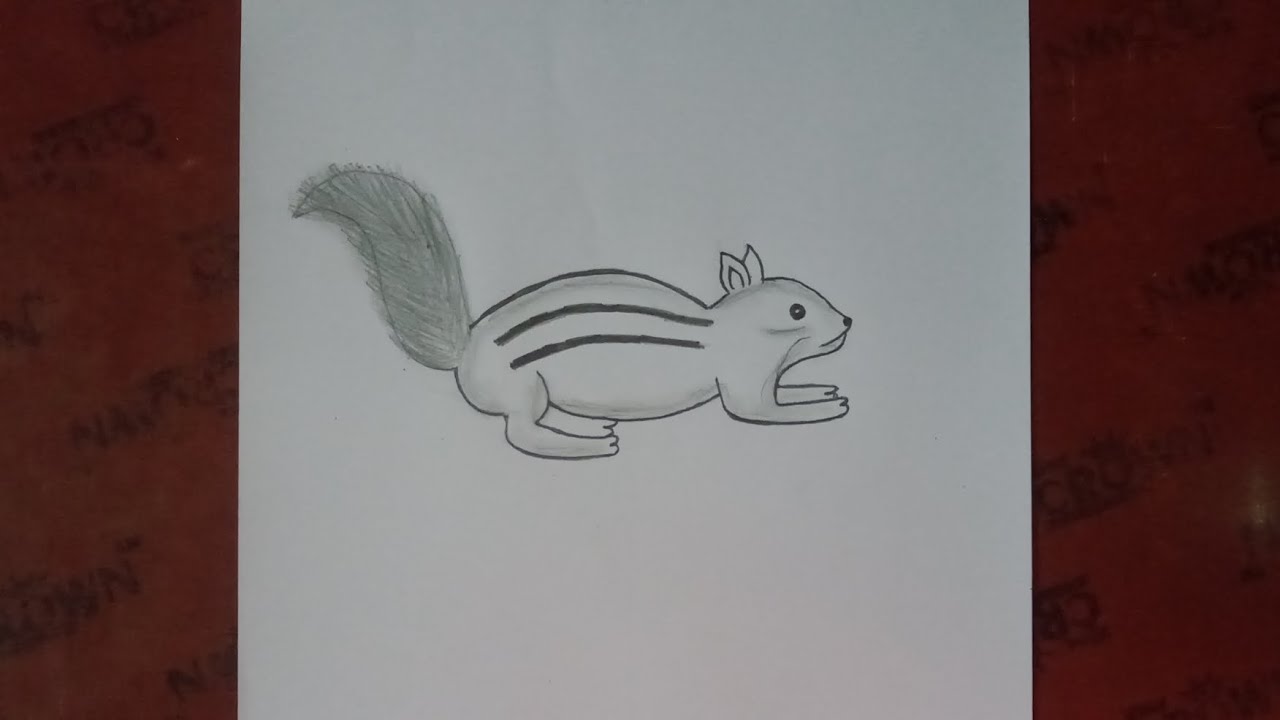 How to draw squirrel/gilhari step by step #drawing #squirreldrawing # ...