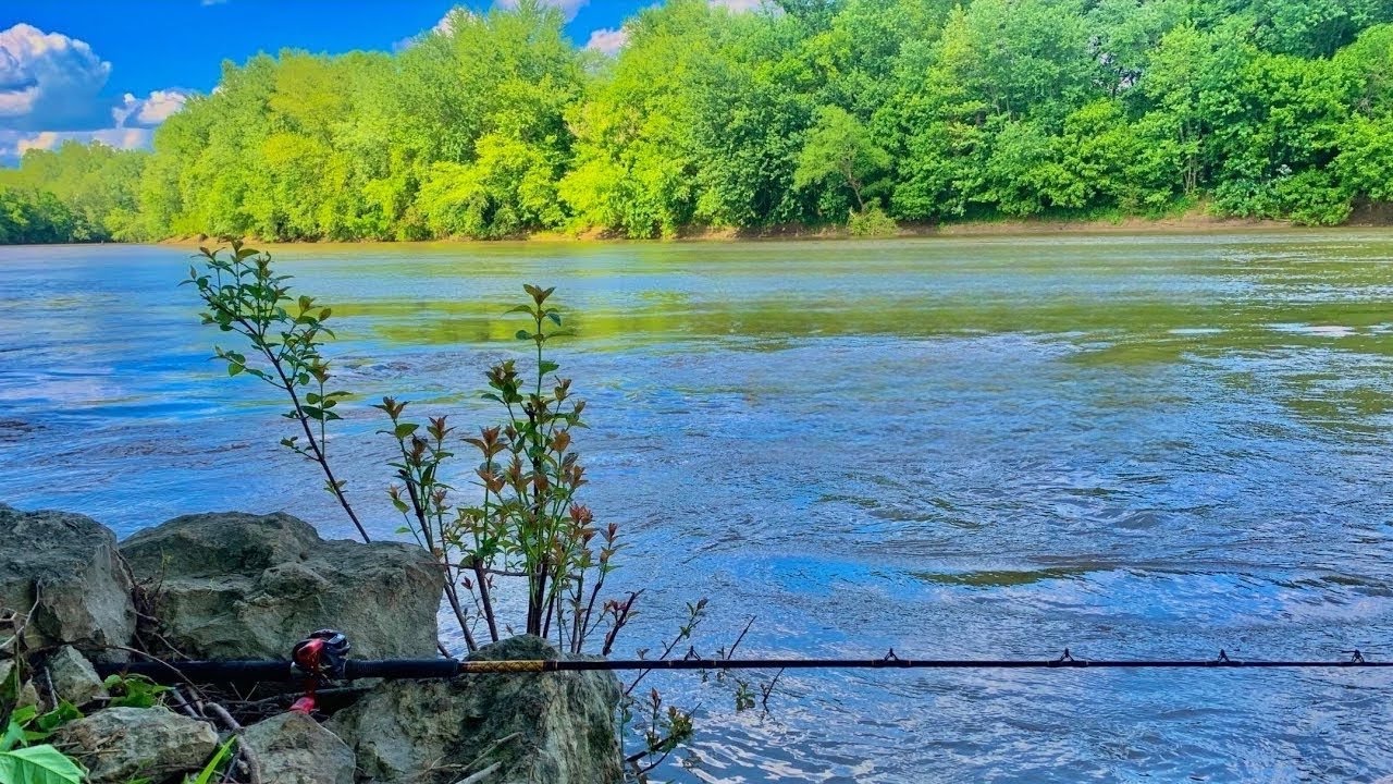 Daytime Catfishing on the River!! (Bluecat & Flathead Action) - YouTube