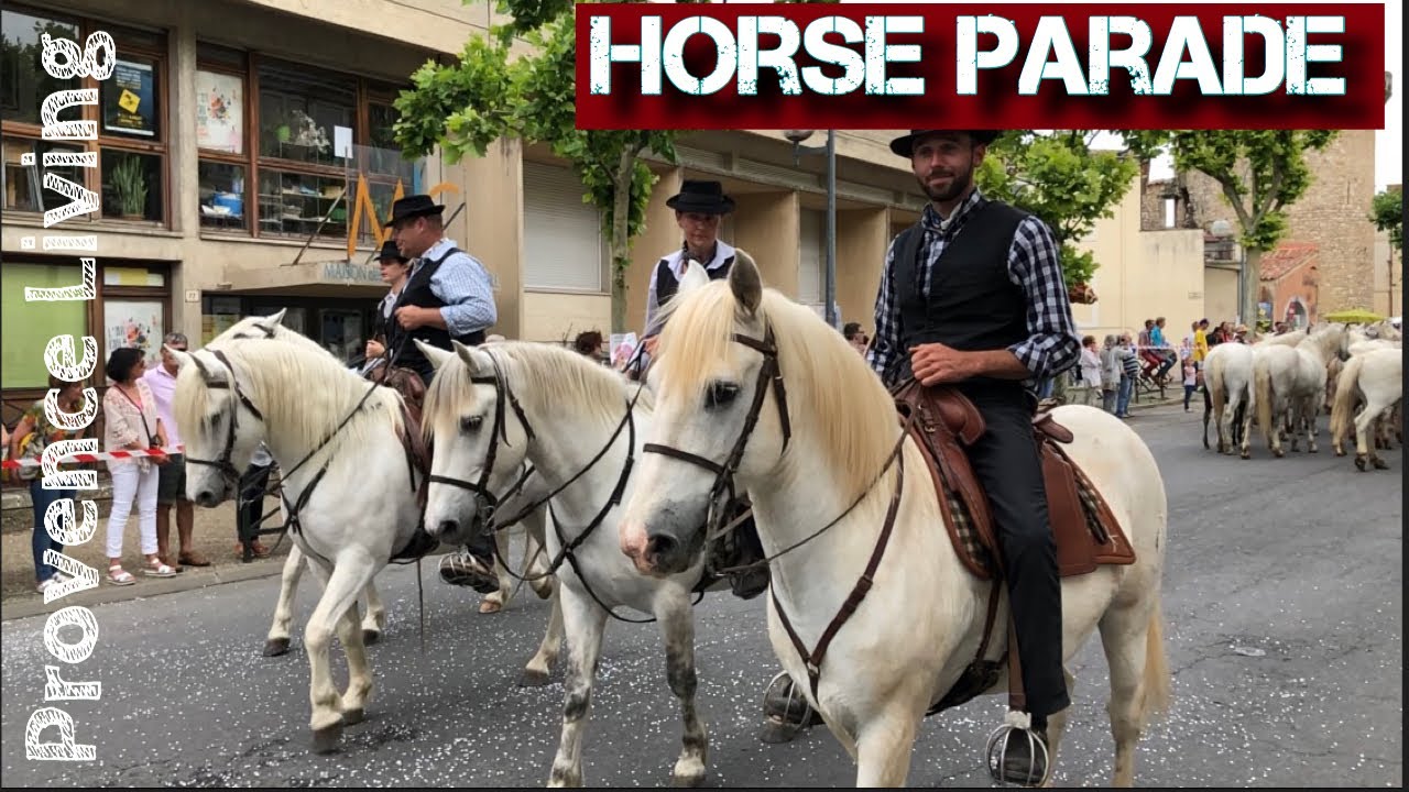 Traditional Horse Parade in Provence [HD] - YouTube