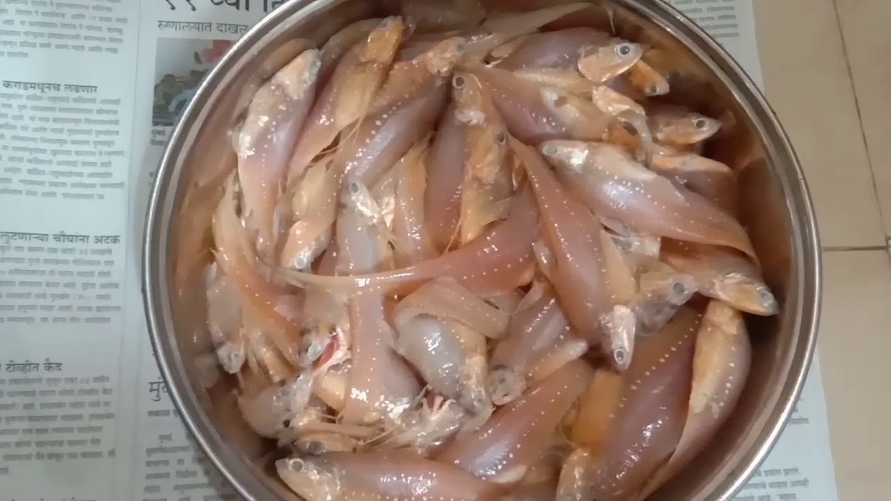 How to clean mandeli fish at home | मांदेली मच्छी घरी कशी साफ करावी ...