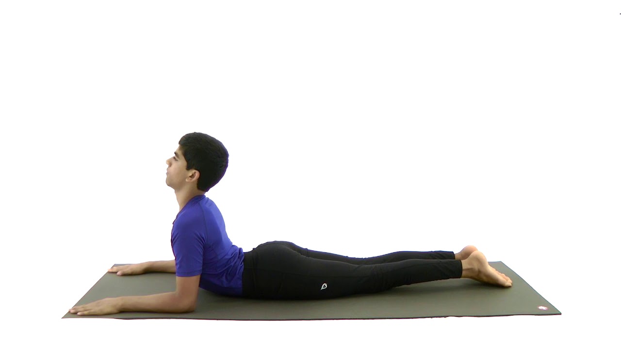 Ardha Bhujangasana (Half Cobra Pose) - YouTube