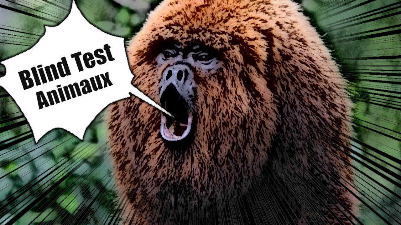 Blind Test Cris d'Animaux - Animals Sounds Vol 1. - YouTube