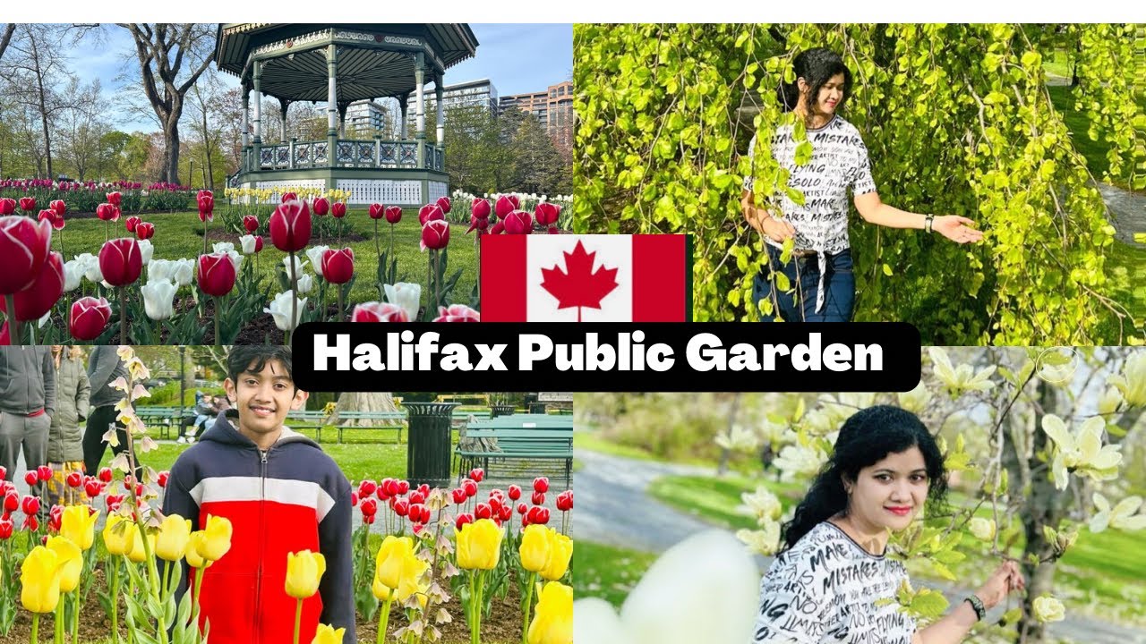 HALIFAX PUBLIC GARDENS || TOUR / MORNING WALK|| Spring garden road ...
