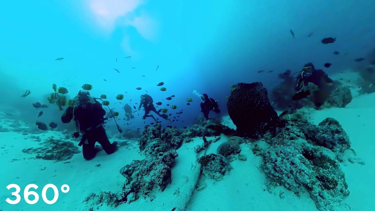 Moalboal dive site "FISH FEEDING AREA" scuba diving look around!! 360 ...