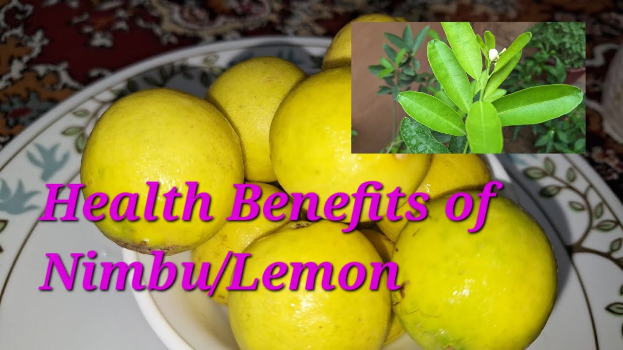 Ayurvedic Health Benefits of Nimbu/Lemon#ayurveda #health #nimbu #lemon ...