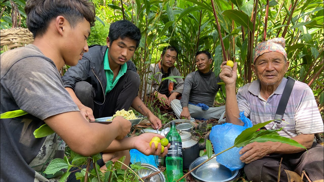 Gauma Aalaichi Tipdai Hai Halka Funny Parama😂@Cardamom Harvest# Rural ...