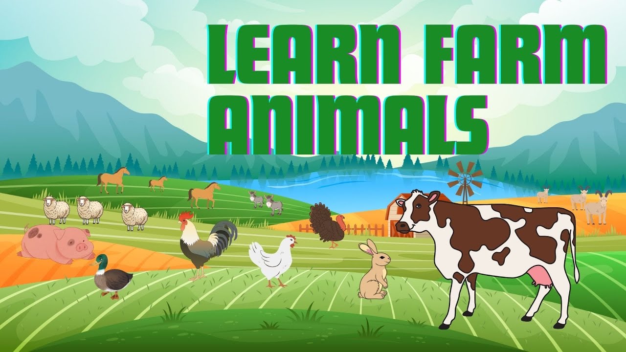 Learn farm animals and sounds | Learn English | Learn vocabulary - YouTube