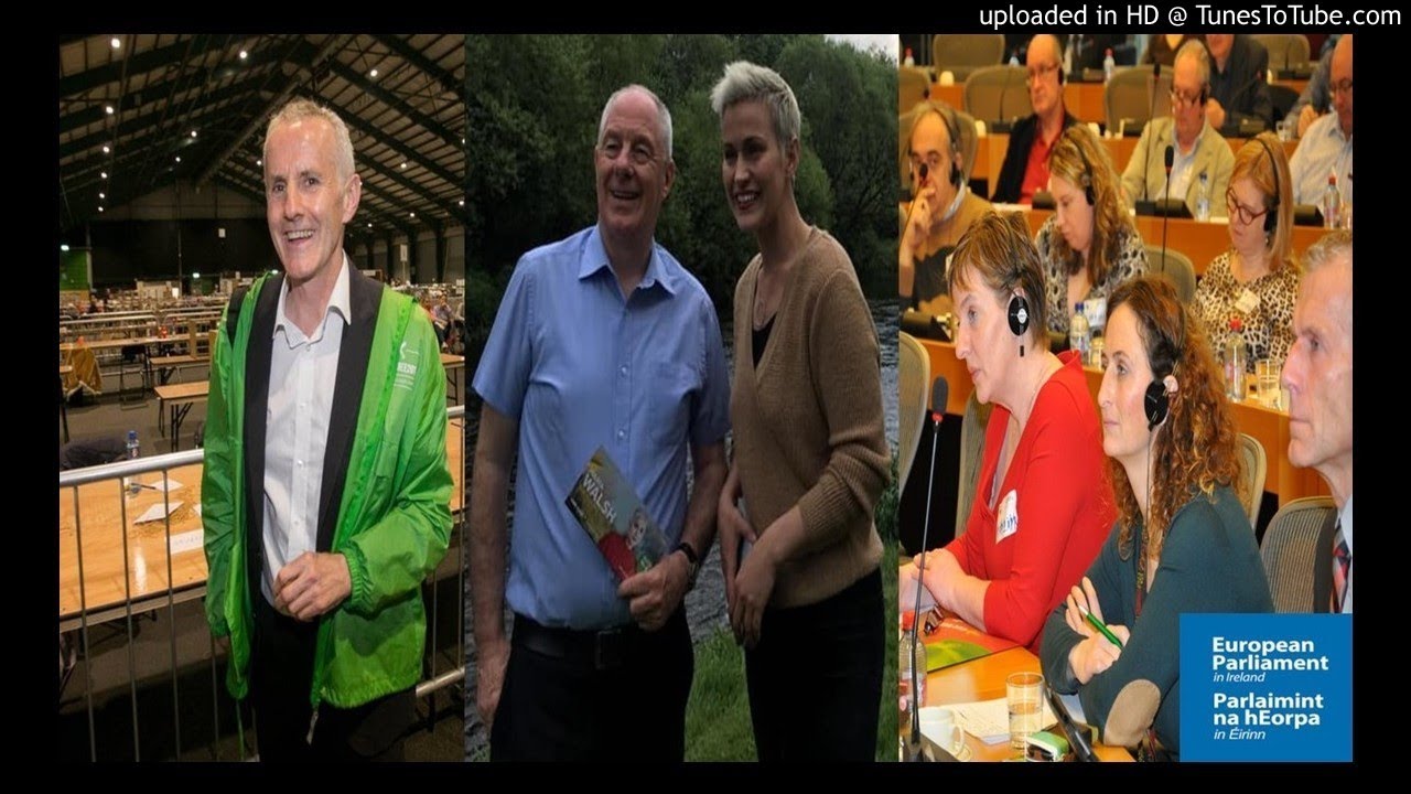 Harry McGee, The Irish Times - Na Toghcháin Áitiúla agus Eorpacha 2019 ...