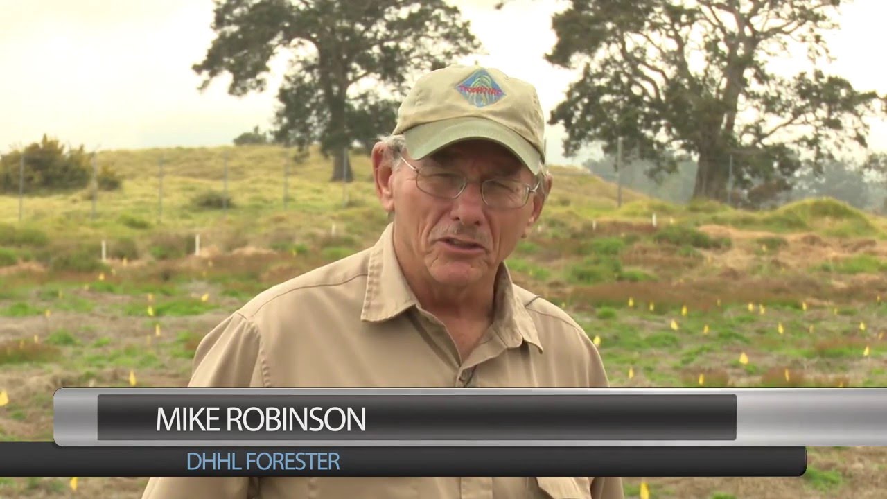 Mike Robinson: Site Preparation - YouTube