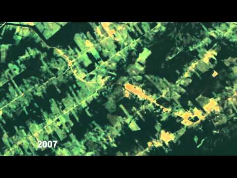 Amazon Deforestation Timelapse - YouTube