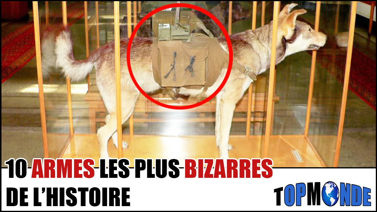 10 ARMES Les Plus BIZARRES De L'histoire - YouTube