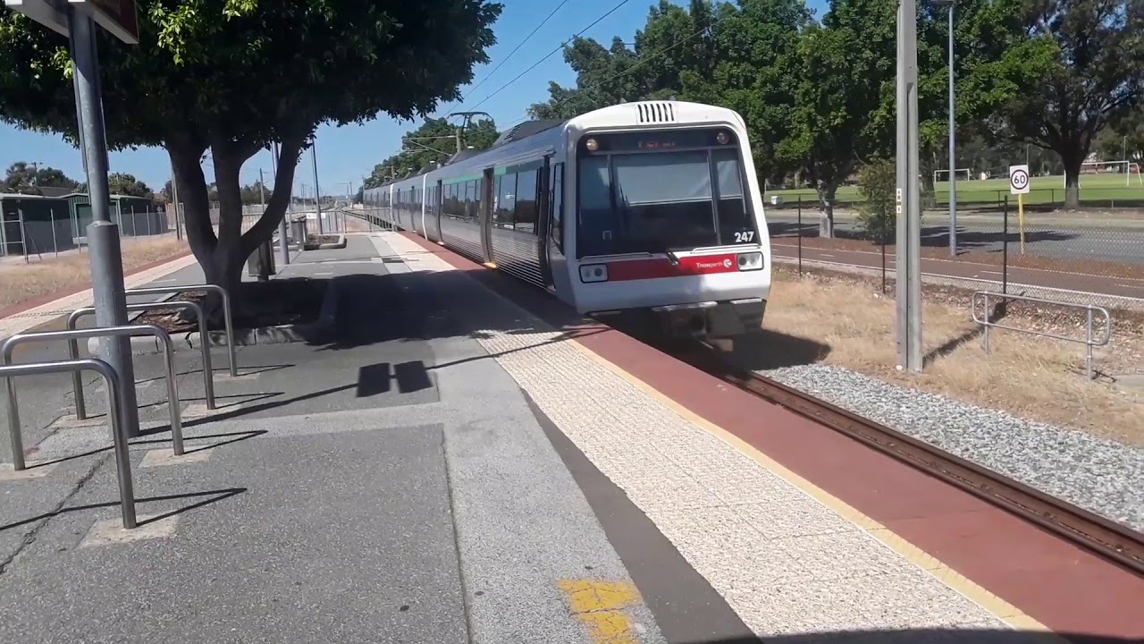 TransWA/Transperth trains at Ashfield train station - YouTube