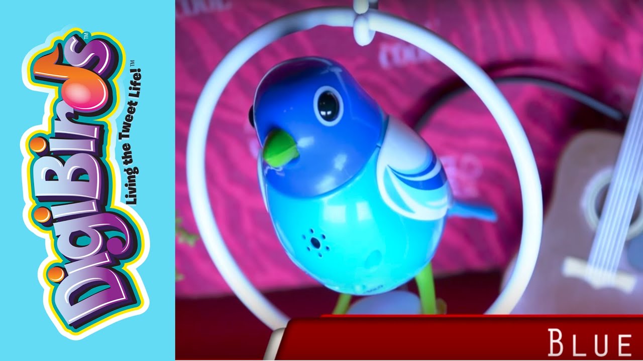 DigiBirds Flockstars! Episode 3 - Meet Blue - YouTube