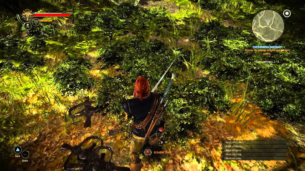 The witcher 2 the endrega contract - analysismyte