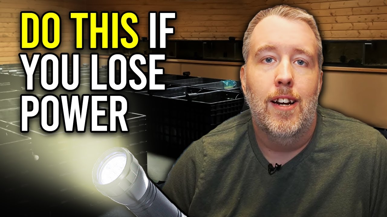 3 Things I Always Do When the Power Goes Out - YouTube