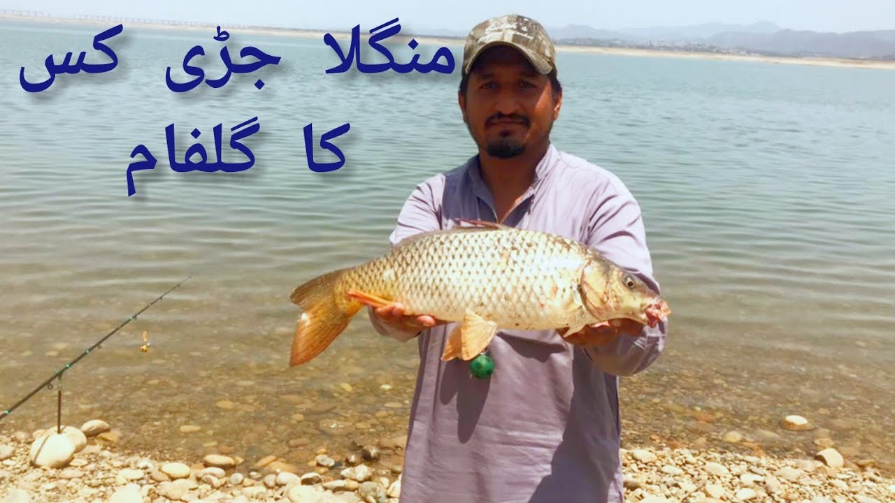 Mangla Dam Fishing