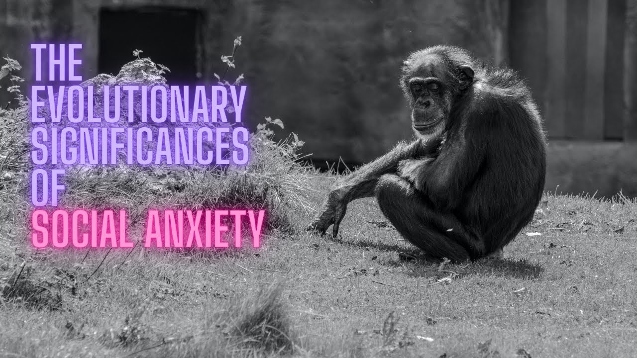 The Evolutionary Significance of Social Anxiety - YouTube