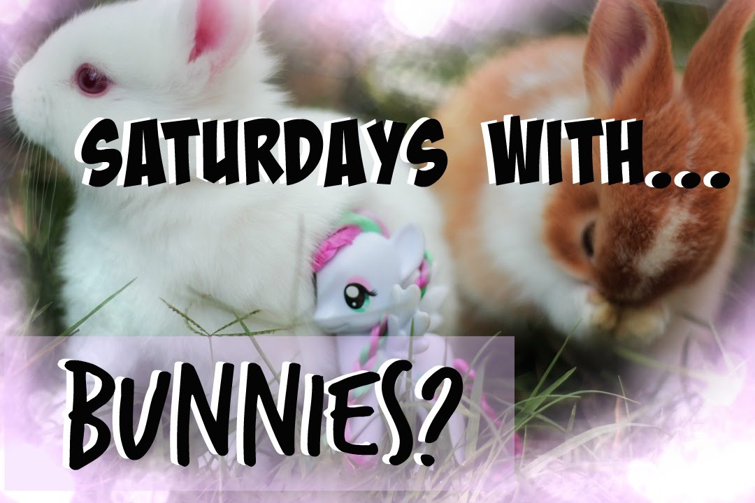 Saturdays With BUNNIES {#66}- Baby Bunny Dares - YouTube